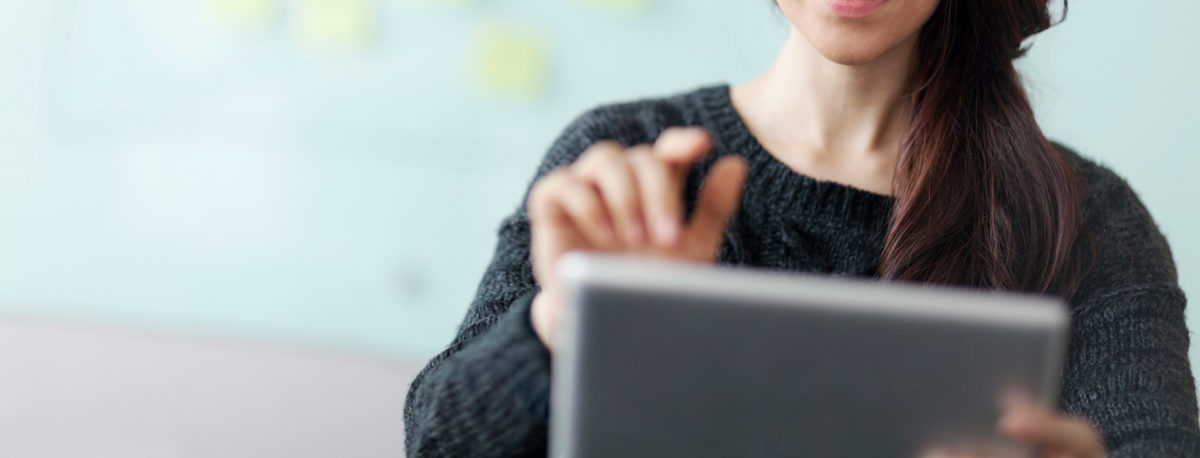 SET SEG Overview - SET SEG